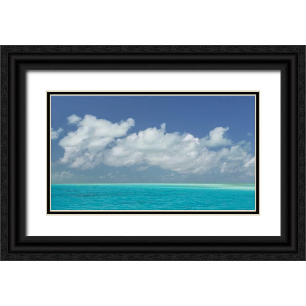 Paulson, Don 24x15 Black Ornate Wood Framed with Double Matting Museum ...
