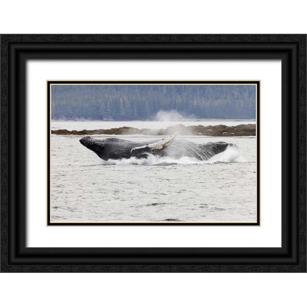 Paulson, Don 24x17 Black Ornate Wood Framed with Double Matting Museum ...