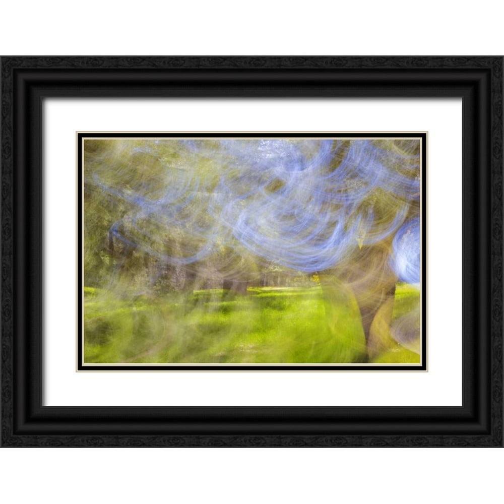 Paulson, Don 24x17 Black Ornate Wood Framed with Double Matting Museum ...