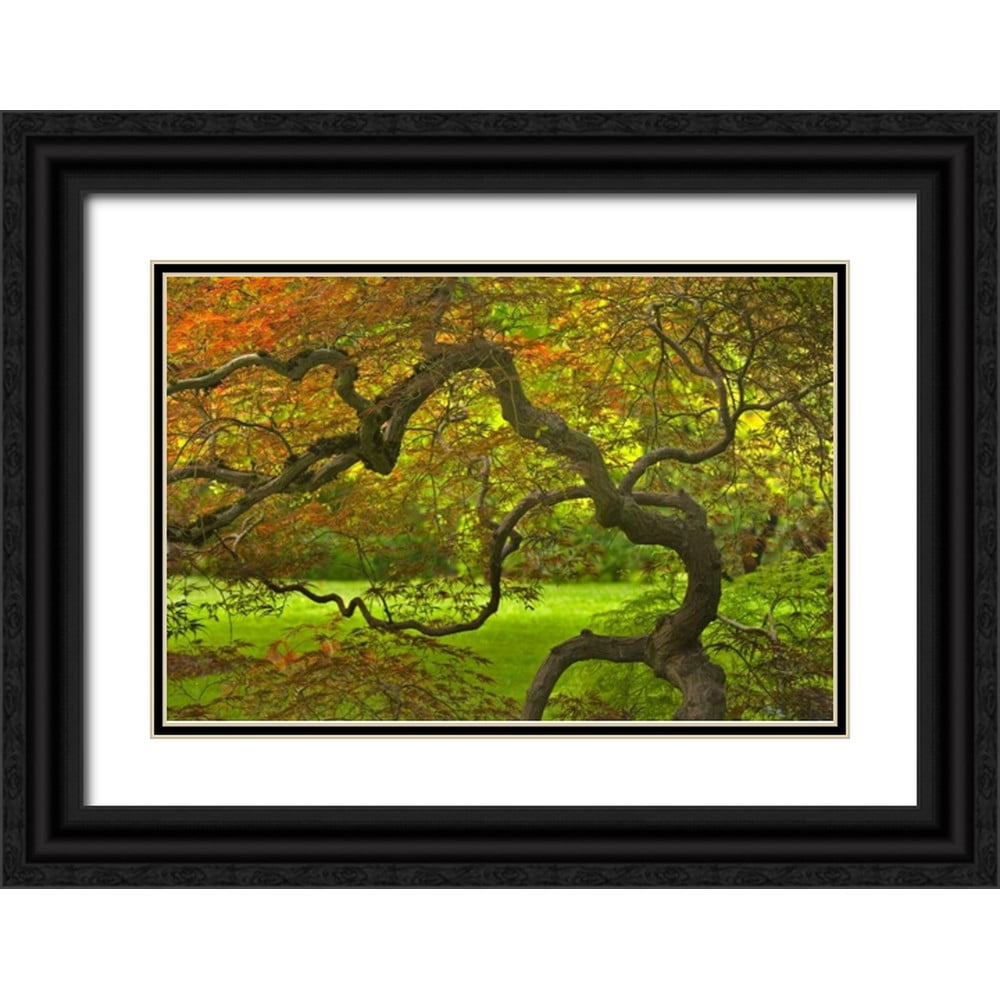 Paulson, Don 24x17 Black Ornate Wood Framed with Double Matting Museum ...
