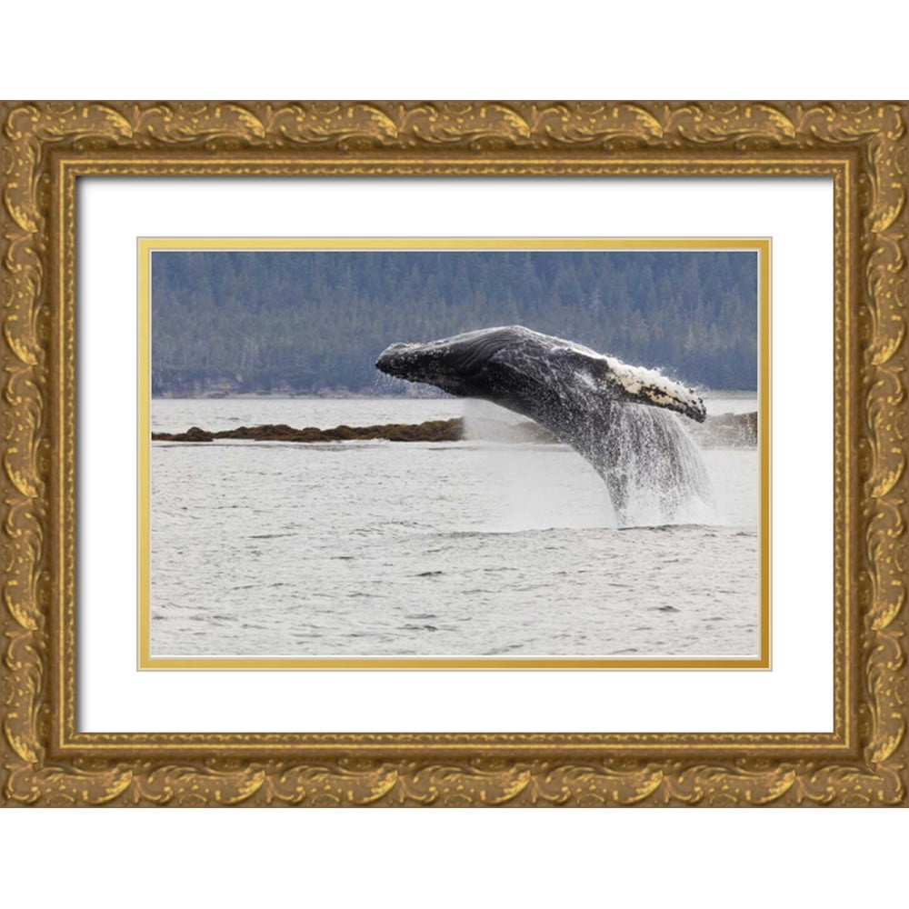 Paulson, Don 24x17 Gold Ornate Wood Framed with Double Matting Museum ...