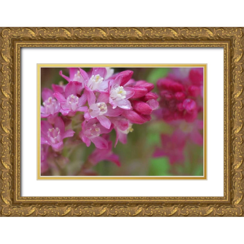 Paulson, Don 24x17 Gold Ornate Wood Framed with Double Matting Museum Art Print Titled - USA,WA ...