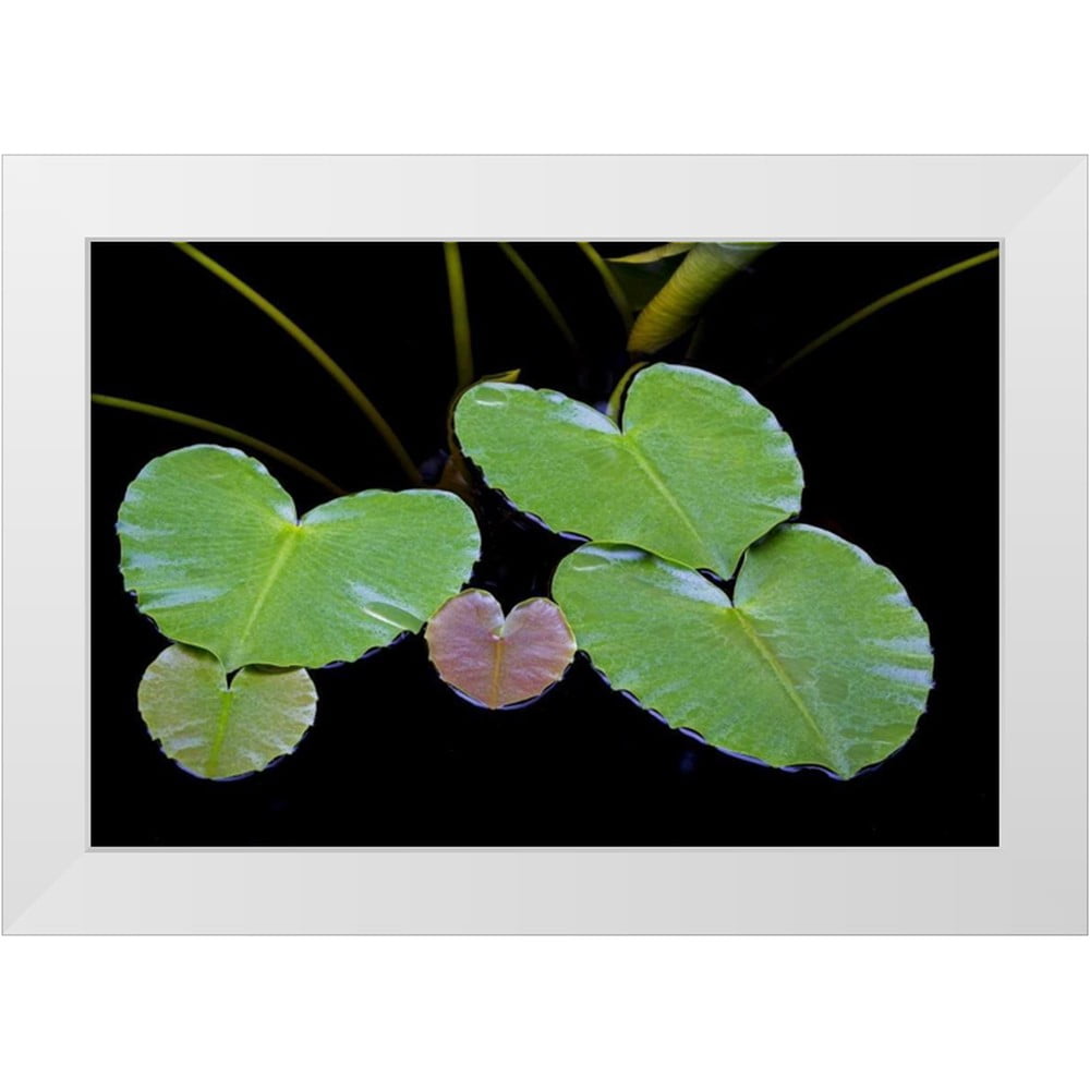 Paulson, Don 24x17 White Modern Wood Framed Museum Art Print Titled ...