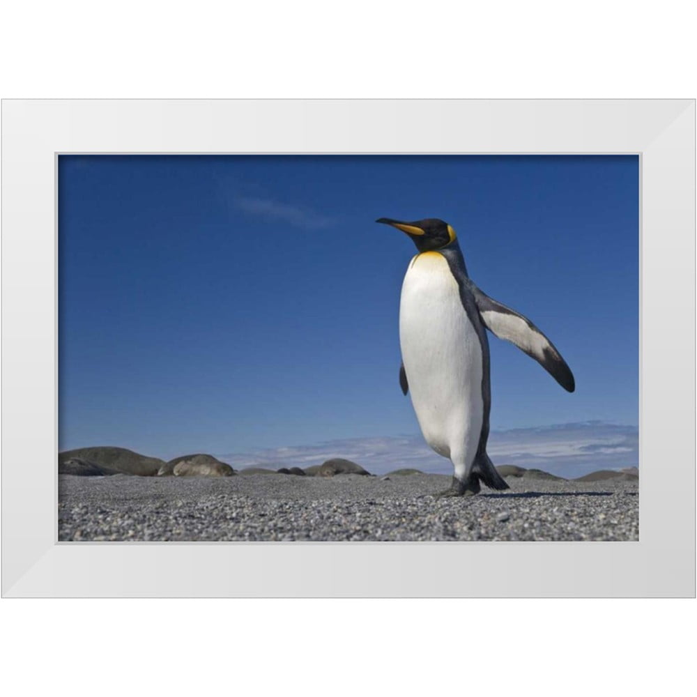 Paulson, Don 24x17 White Modern Wood Framed Museum Art Print Titled ...