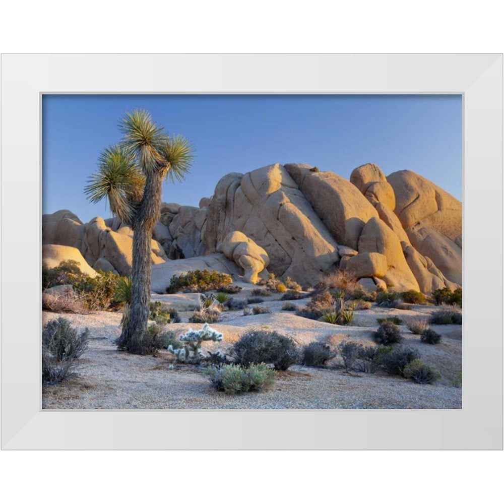 Paulson, Don 24x19 White Modern Wood Framed Museum Art Print Titled ...