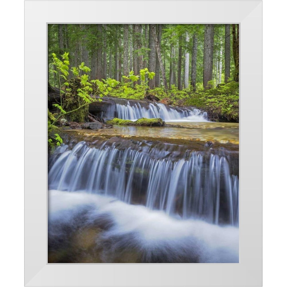 Paulson, Don 26x32 White Modern Wood Framed Museum Art Print Titled ...