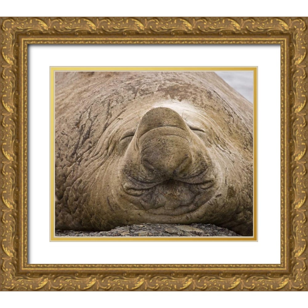 Paulson, Don 30x26 Gold Ornate Wood Framed with Double Matting Museum Art Print Titled - South ...