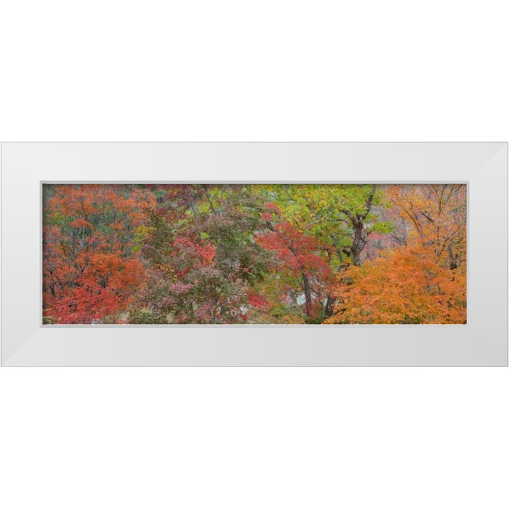 Paulson, Don 32x13 White Modern Wood Framed Museum Art Print Titled ...