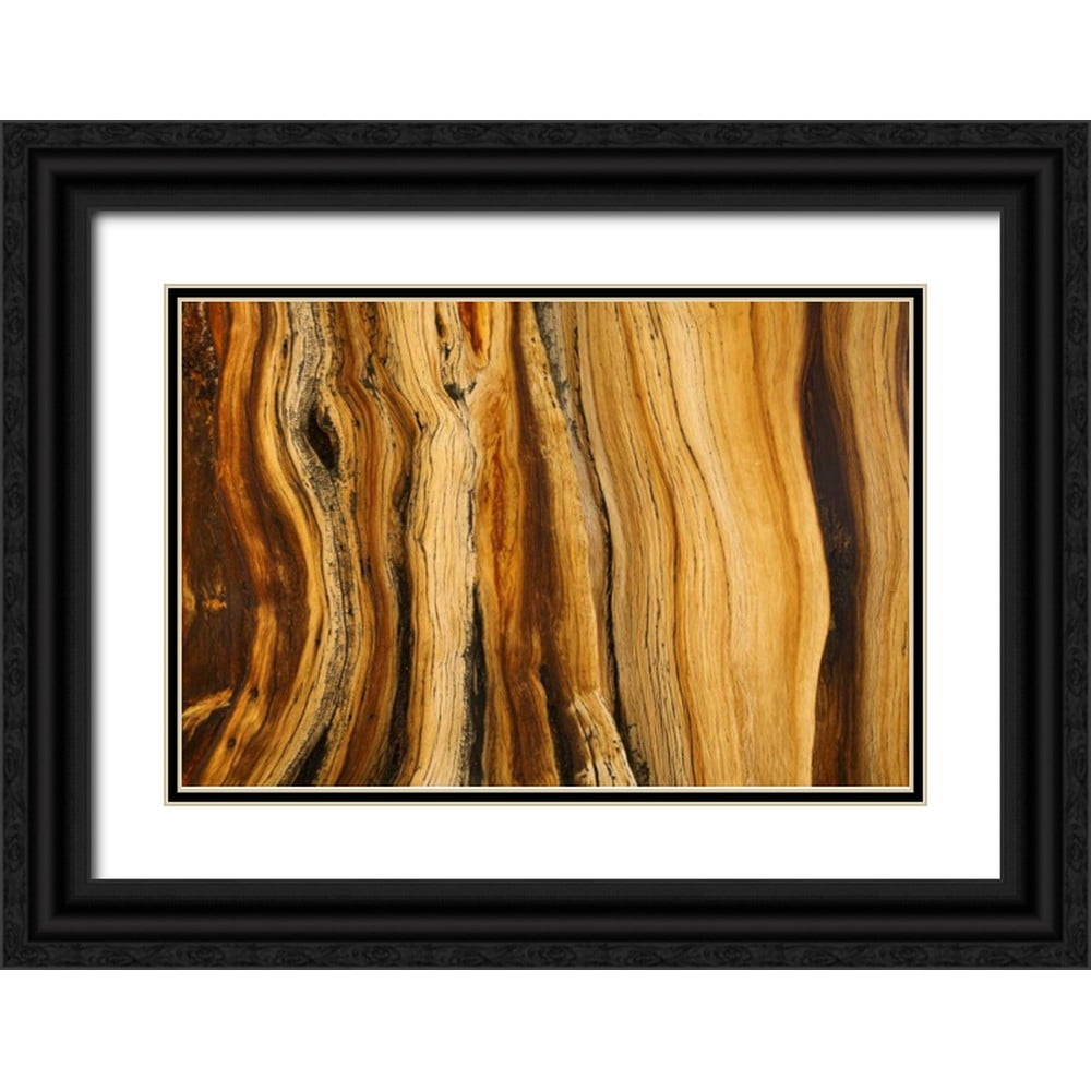 Paulson, Don 32x23 Black Ornate Wood Framed with Double Matting Museum ...