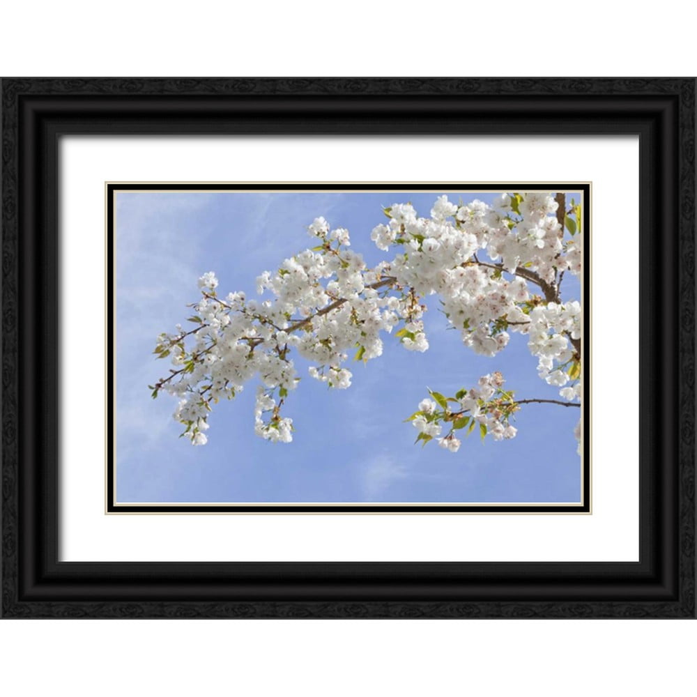 Paulson, Don 32x23 Black Ornate Wood Framed with Double Matting Museum Art Print Titled ...