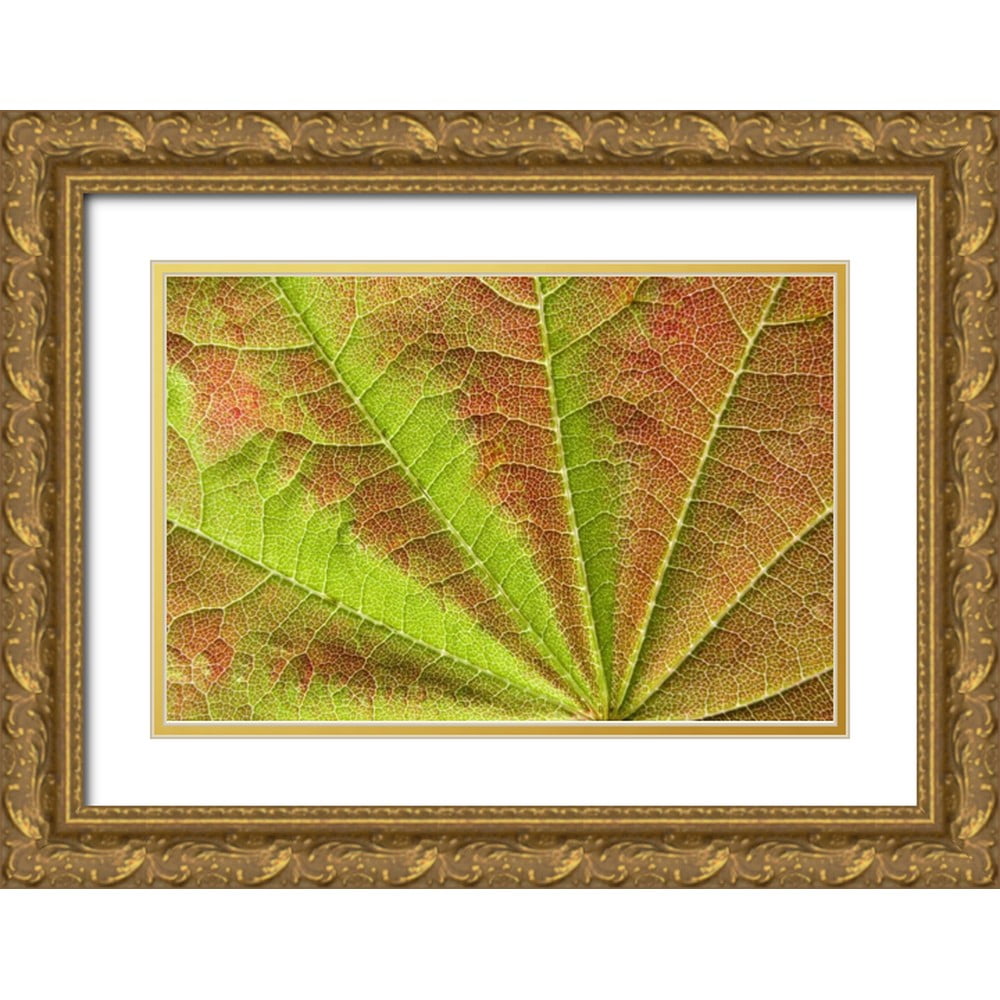 Paulson, Don 32x23 Gold Ornate Wood Framed with Double Matting Museum ...