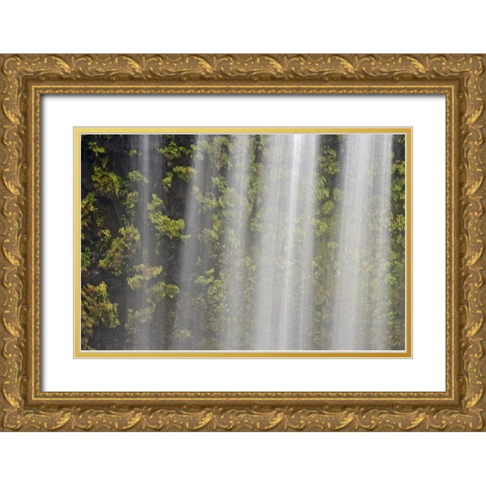 Paulson, Don 32x23 Gold Ornate Wood Framed with Double Matting Museum Art Print Titled - OR ...