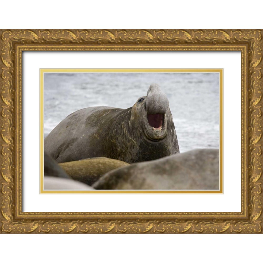 Paulson, Don 32x23 Gold Ornate Wood Framed with Double Matting Museum ...