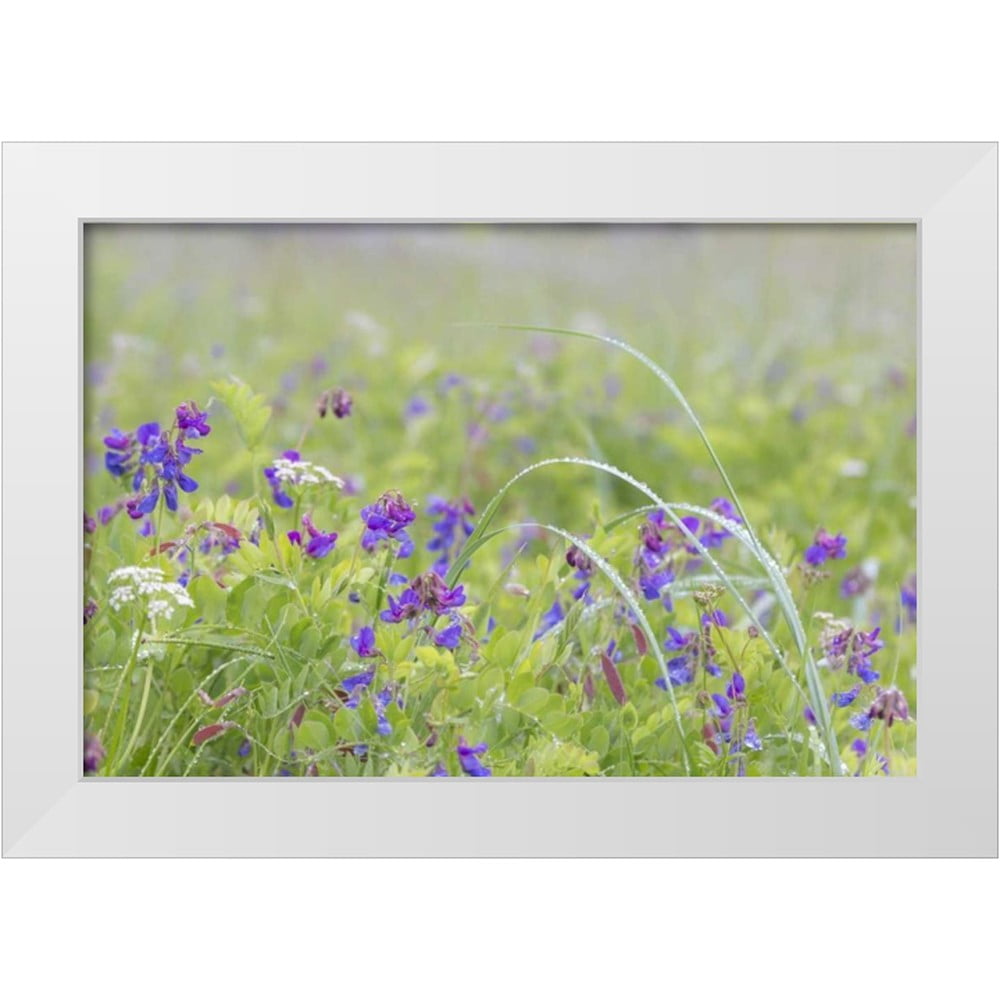 Paulson, Don 32x23 White Modern Wood Framed Museum Art Print Titled ...