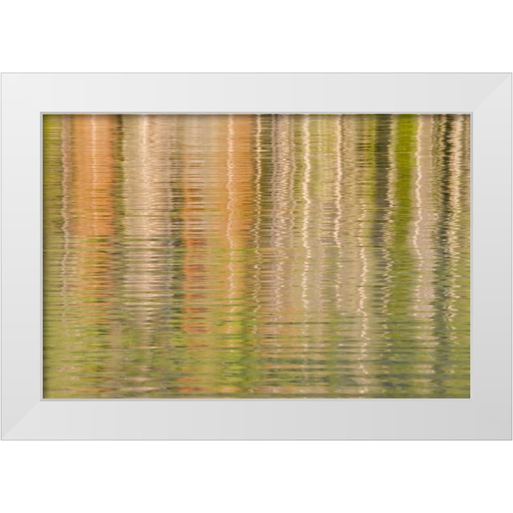 Paulson, Don 32x23 White Modern Wood Framed Museum Art Print Titled ...