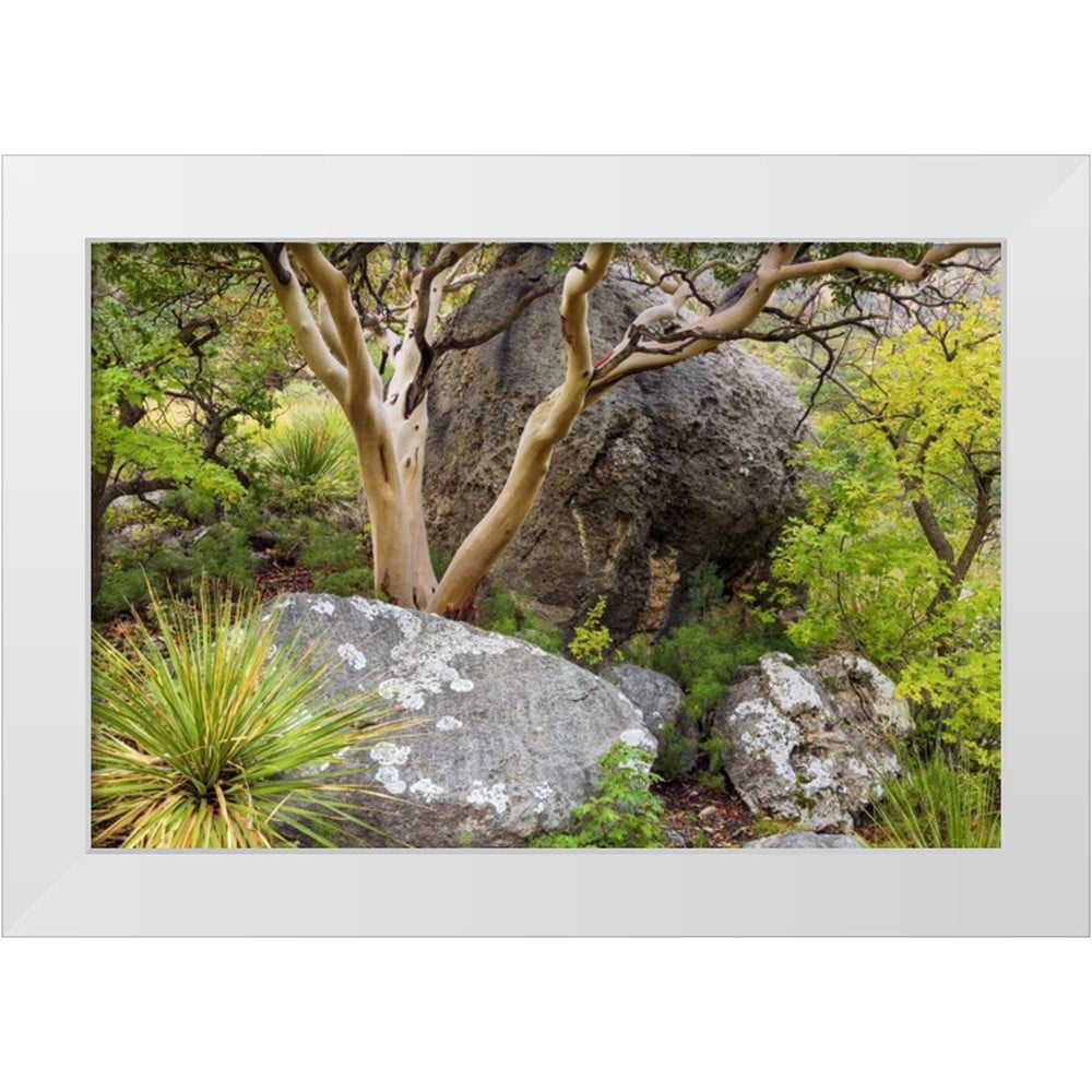 Paulson, Don 32x23 White Modern Wood Framed Museum Art Print Titled ...