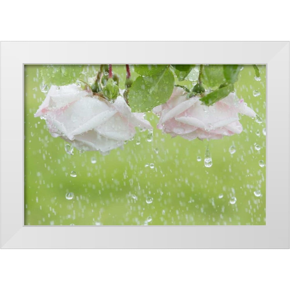 Paulson, Don 32x23 White Modern Wood Framed Museum Art Print Titled ...