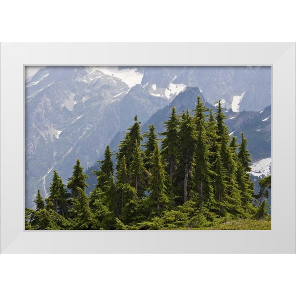 Paulson, Don 32x23 White Modern Wood Framed Museum Art Print Titled ...