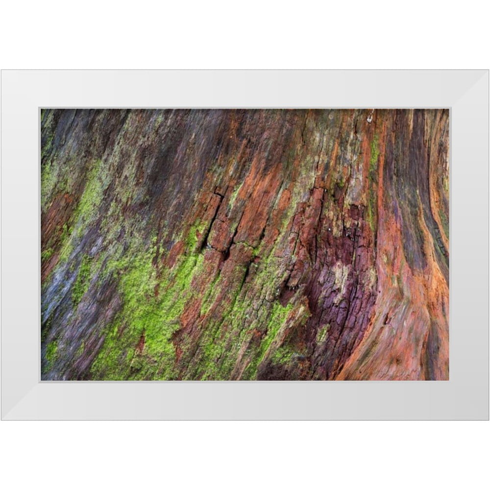 Paulson, Don 32x23 White Modern Wood Framed Museum Art Print Titled ...