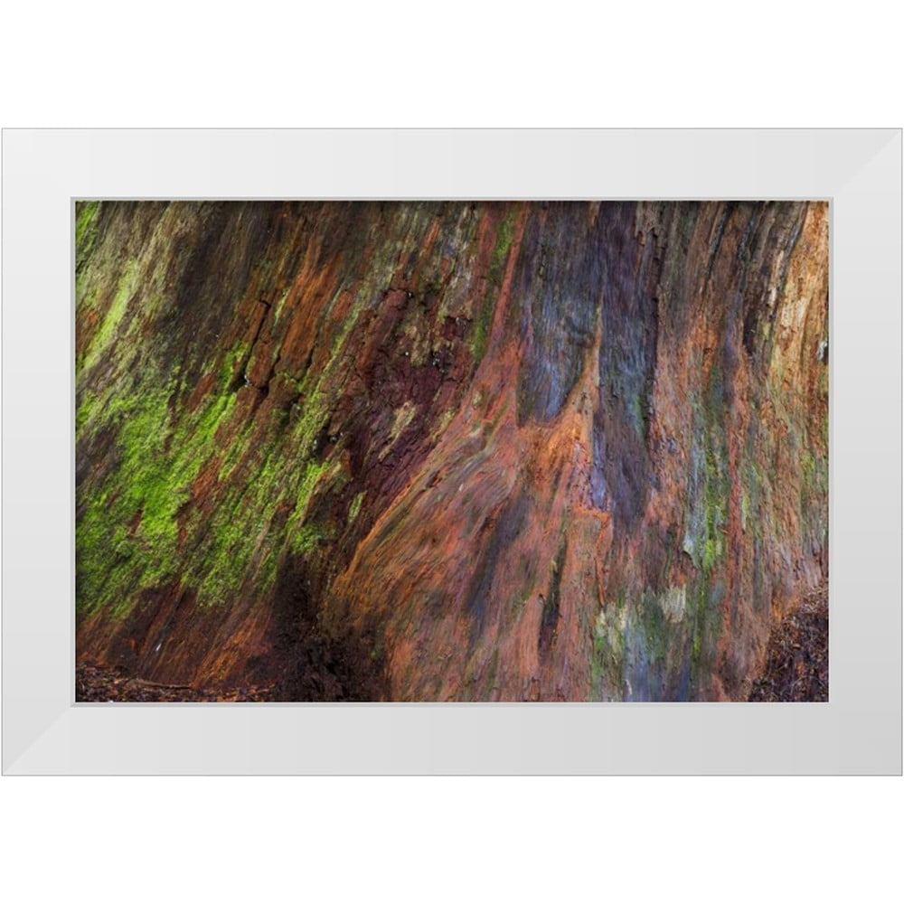 Paulson, Don 32x23 White Modern Wood Framed Museum Art Print Titled ...