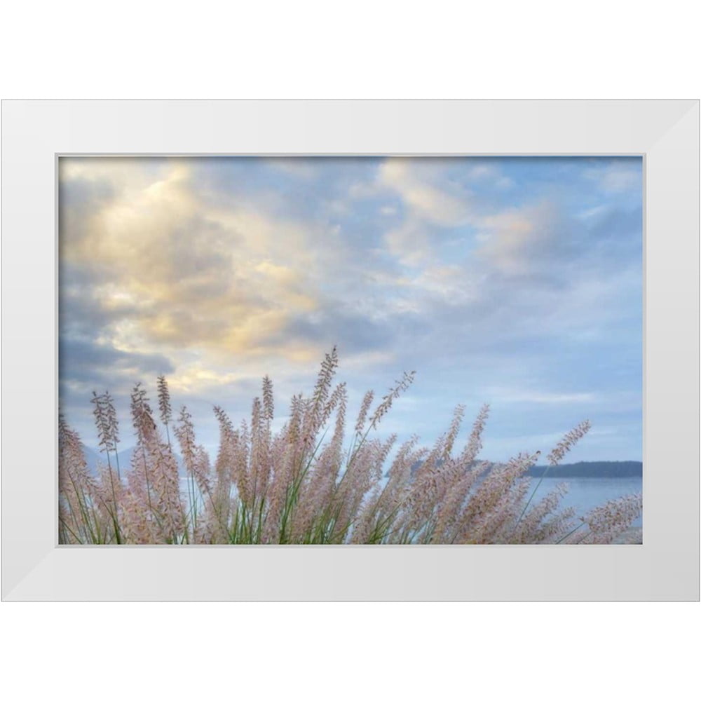 Paulson, Don 32x23 White Modern Wood Framed Museum Art Print Titled - Washington, Seabeck ...