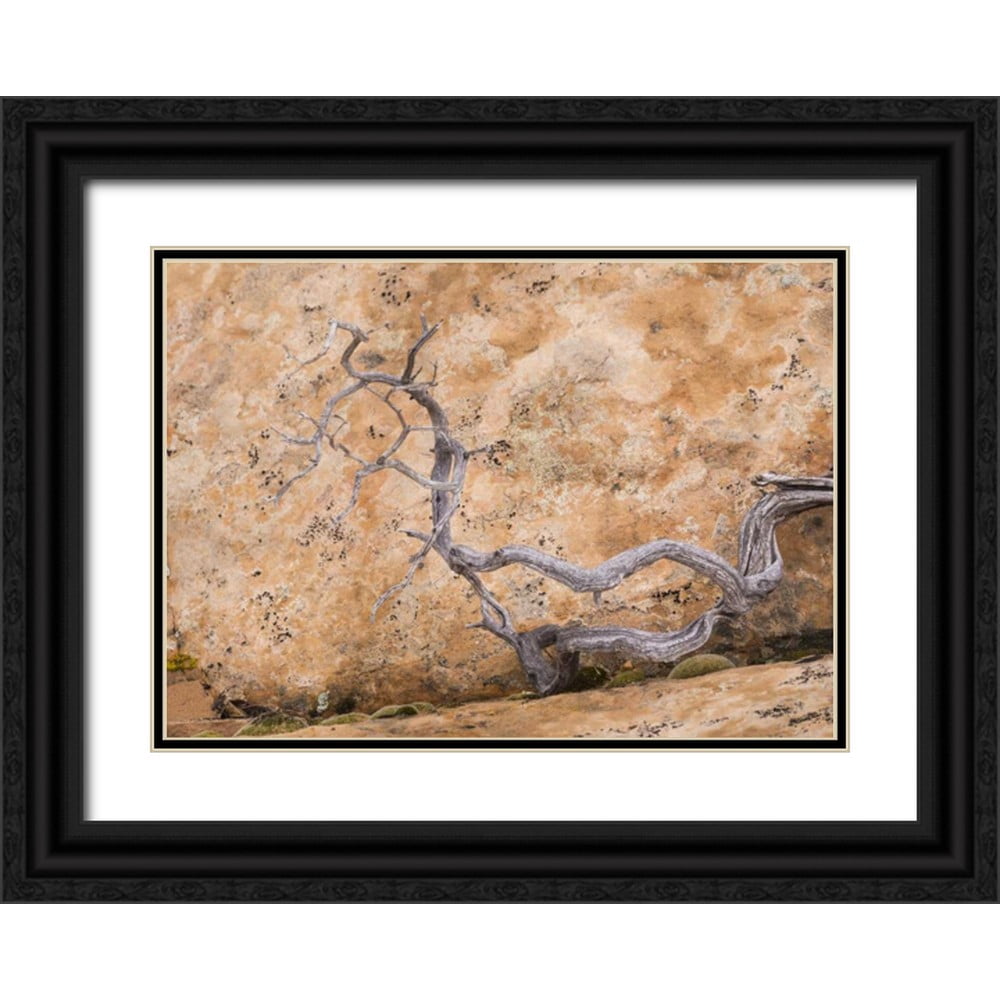 Paulson, Don 32x24 Black Ornate Wood Framed with Double Matting Museum ...