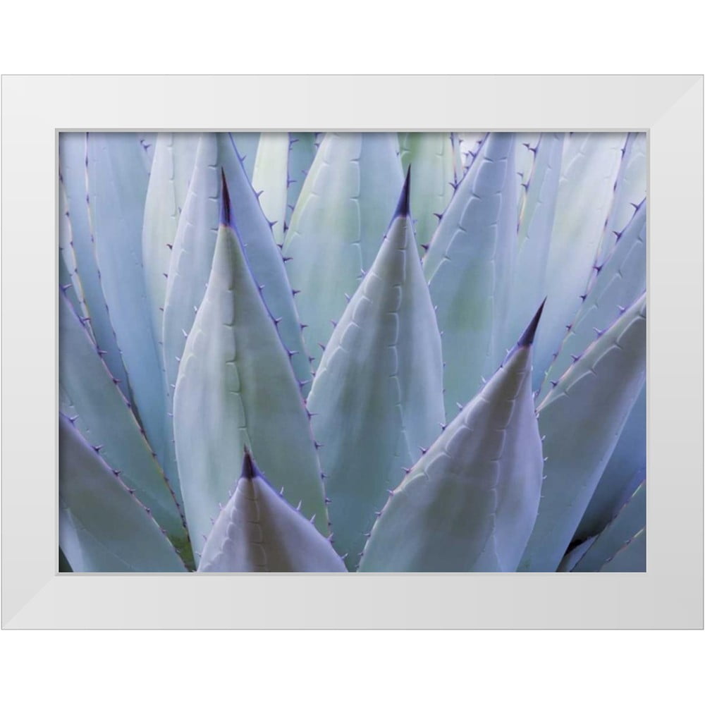 Paulson, Don 32x25 White Modern Wood Framed Museum Art Print Titled ...