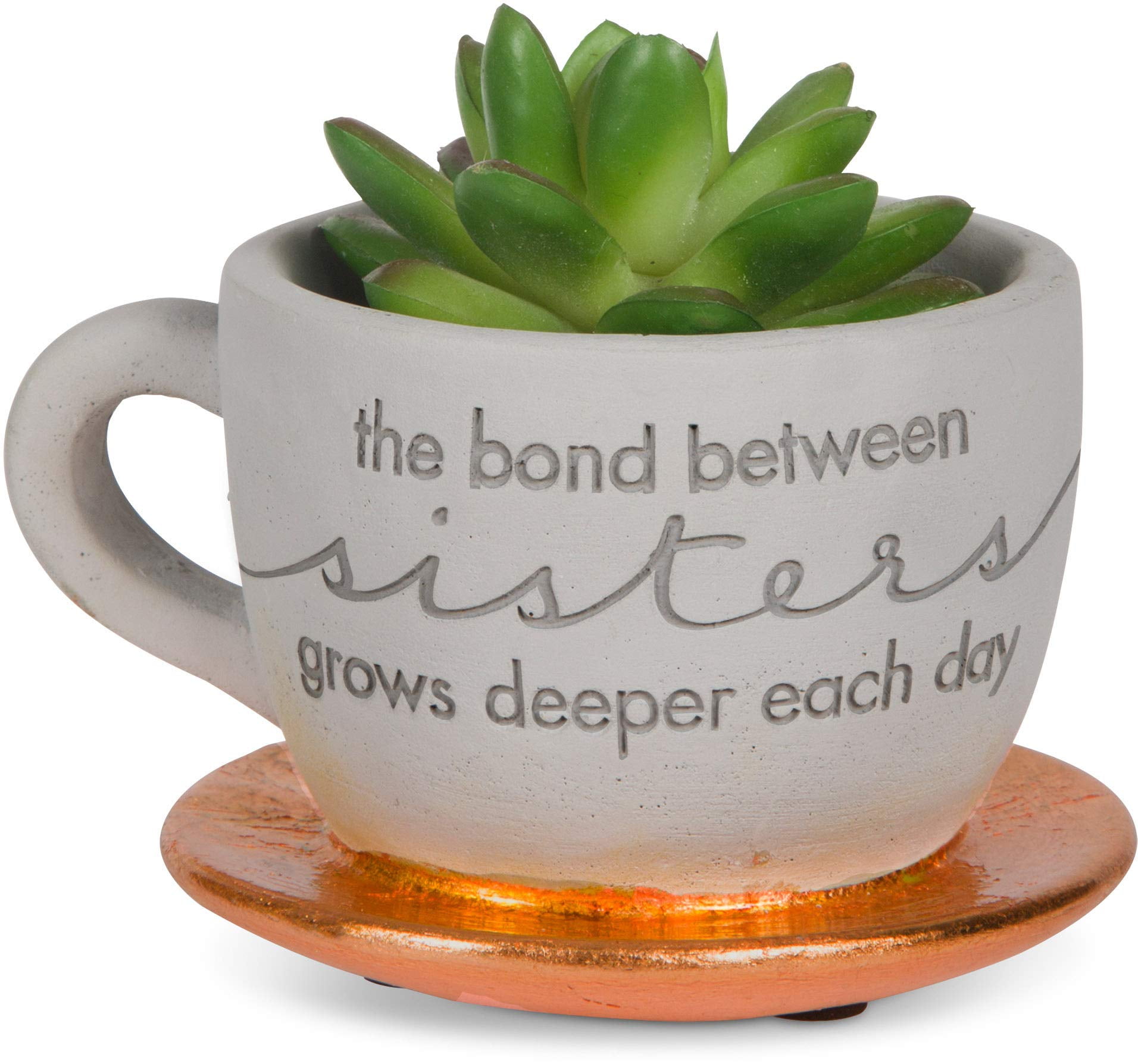 Pavilion Gift Company 42122 Sisters Cement Tea Cup Planter, 4 x 2-1/2 ...