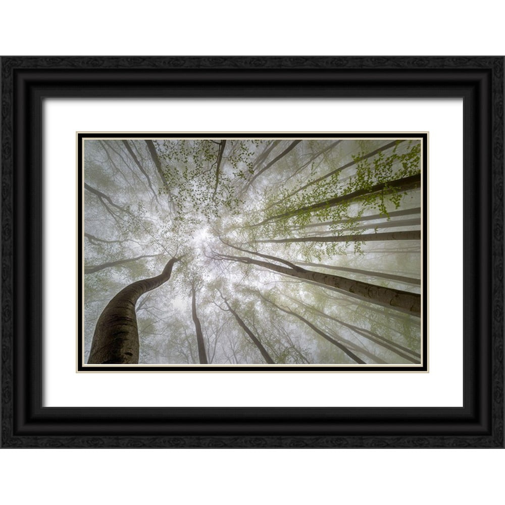 Pavlasek, Tom 24x17 Black Ornate Wood Framed with Double Matting Museum ...