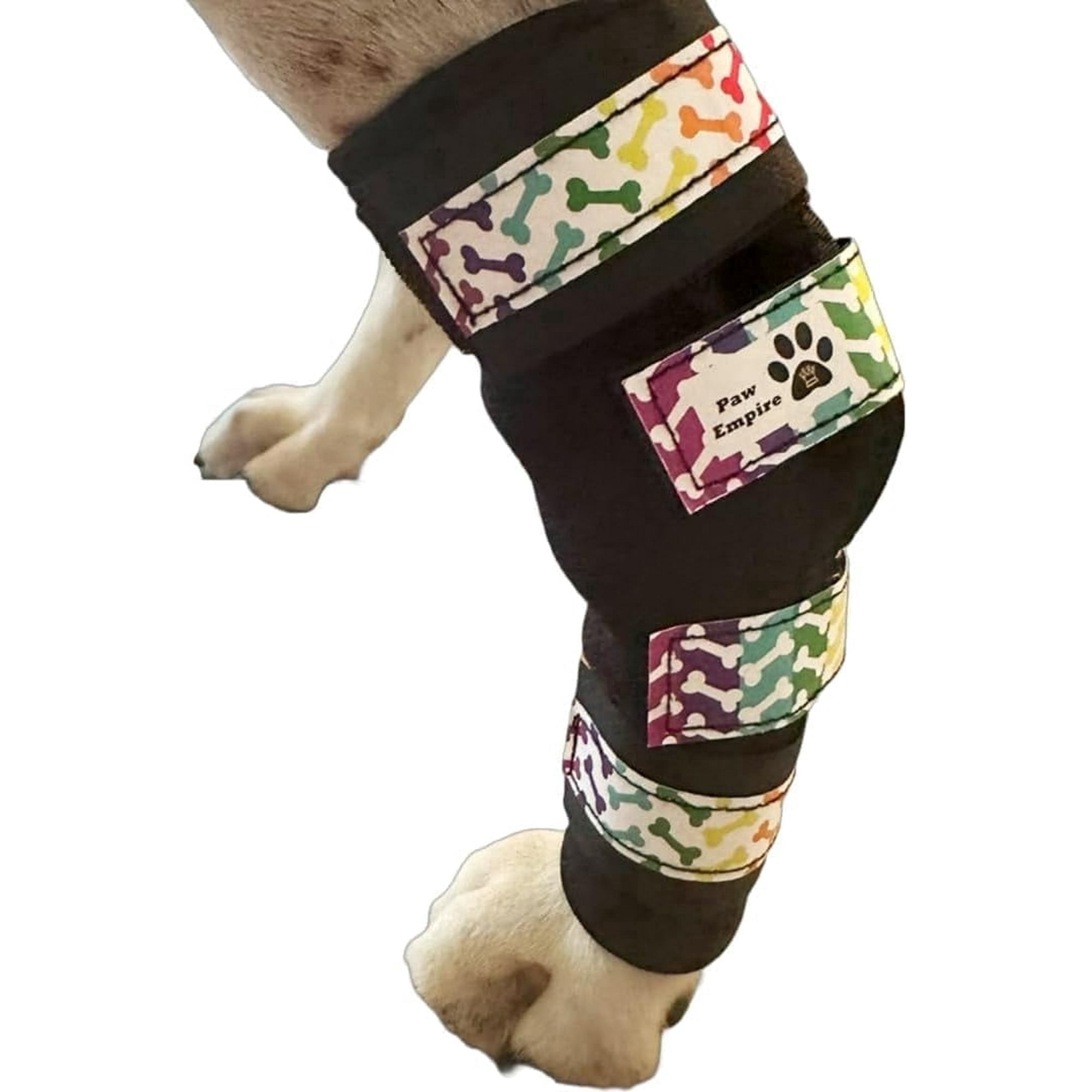 Paw Empire Dog Leg Braces, Ultra Supportive with Metal Springs, Rainbow ...
