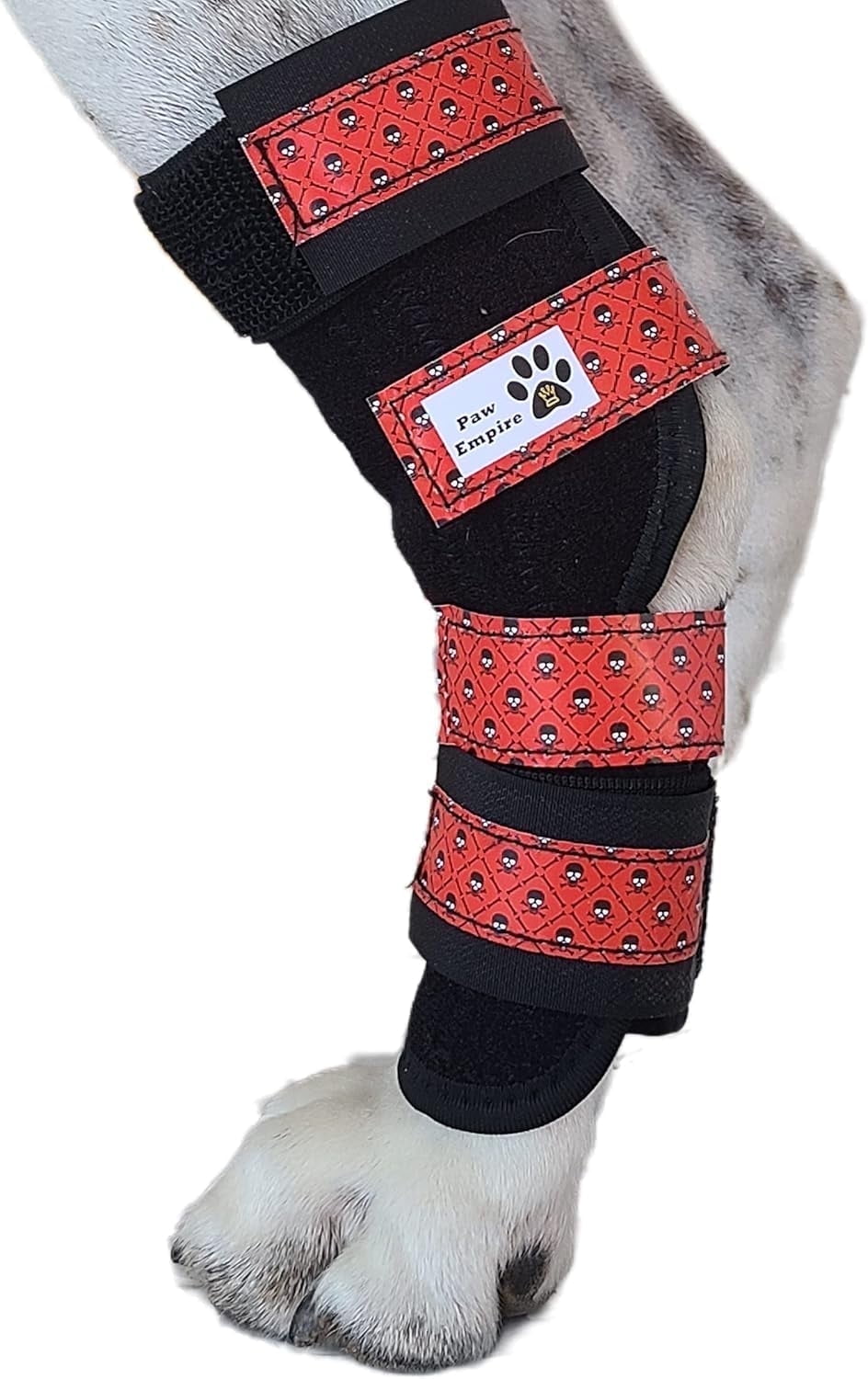 Dog Leg Braces by Paw Empire, Ultra Supportive with Metal Springs ...