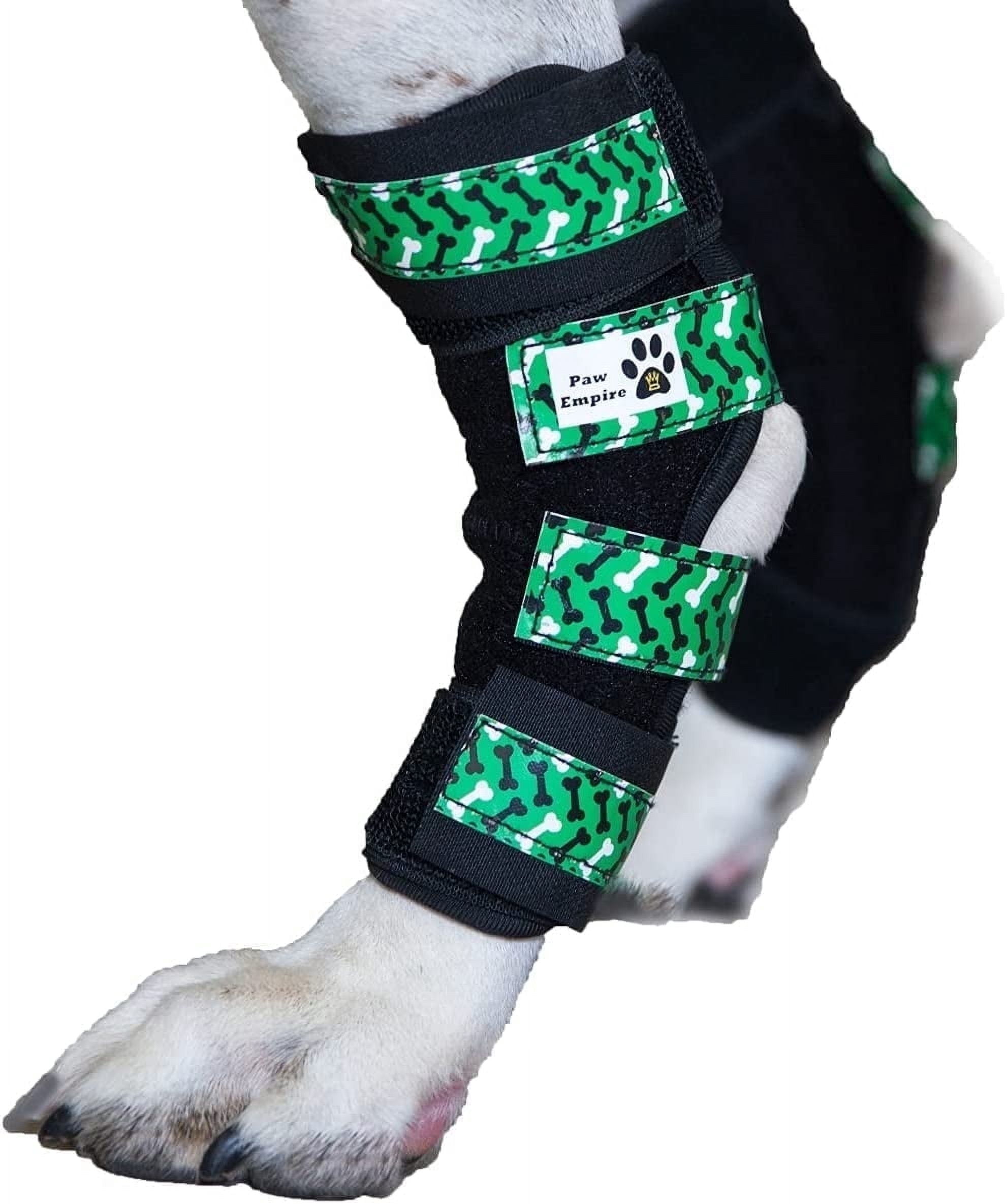 Paw Empire Dog Leg Braces, Extra Supportive with Metal Springs, Green ...