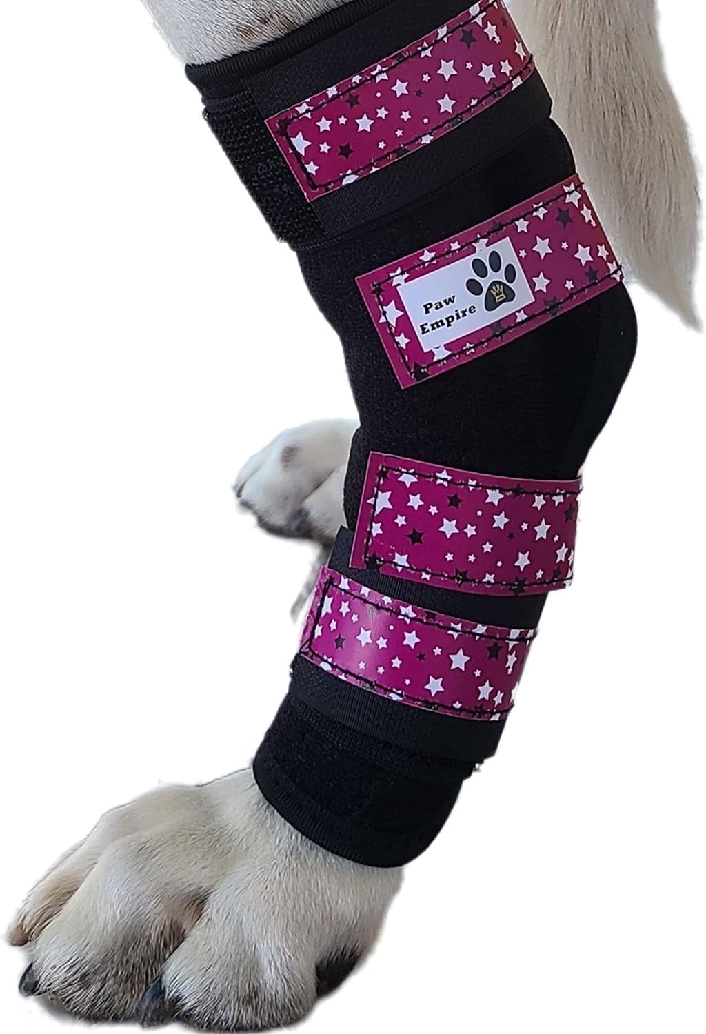 Paw Empire Dog Leg Braces, Extra Supportive with Metal Springs, Purple ...