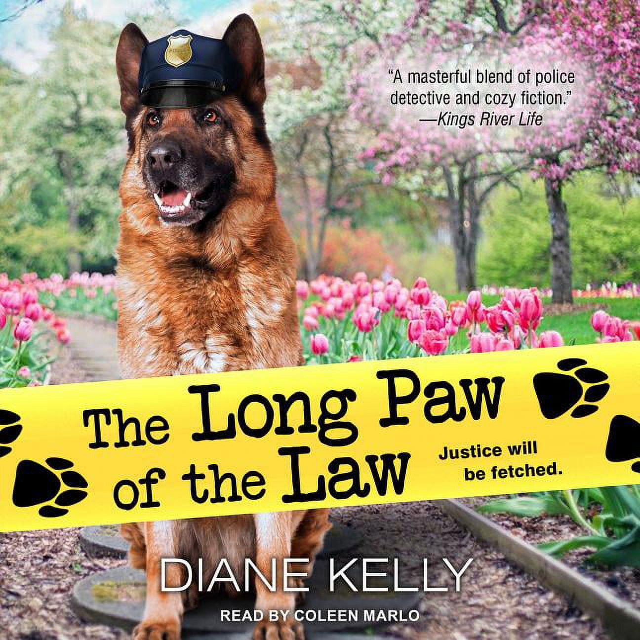 Paw Enforcement: The Long Paw of the Law (Audiobook) - Walmart.com