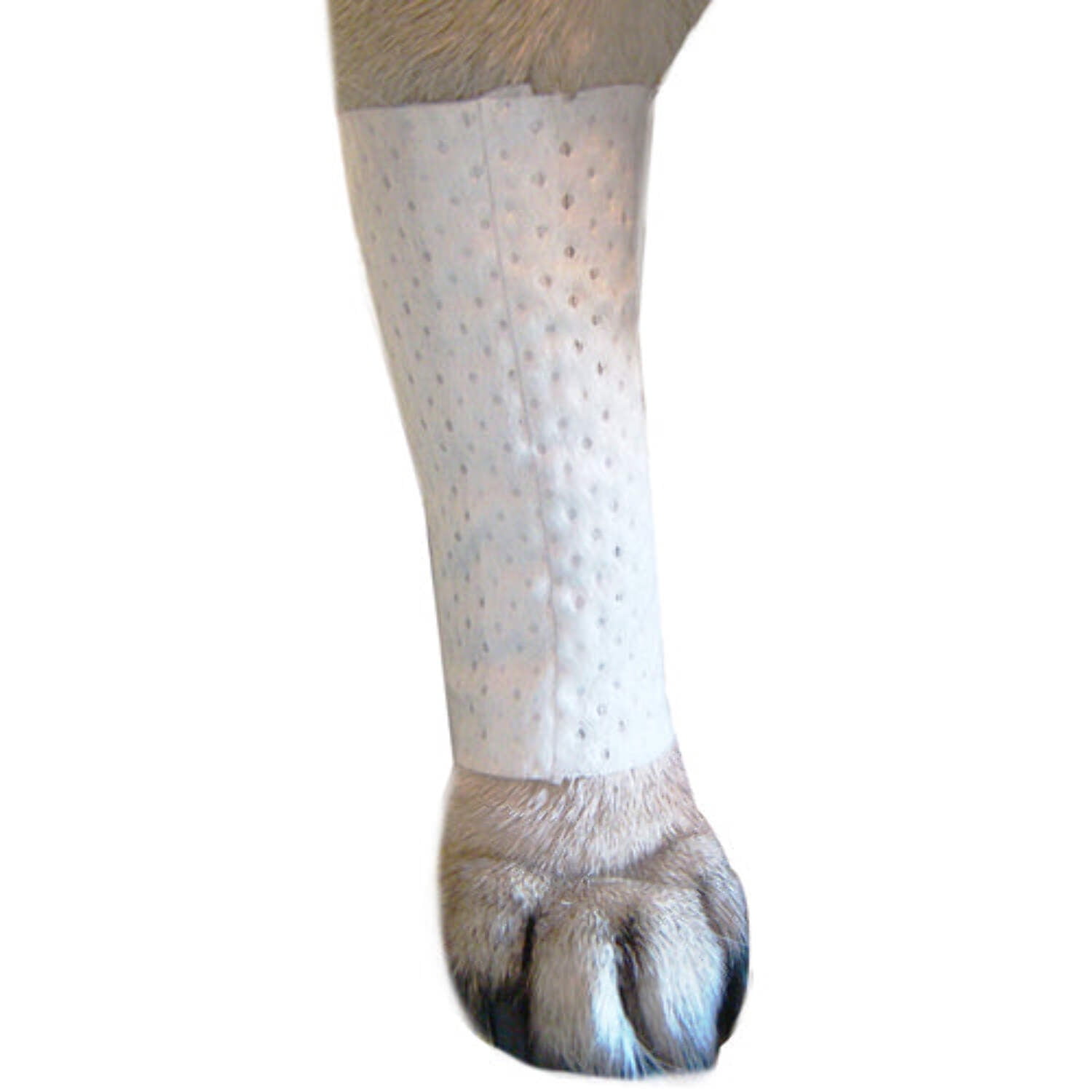 Paw Flex ROTC006 - 6PK Basic & Joint Dog Bandage Covers - Extra Large ...