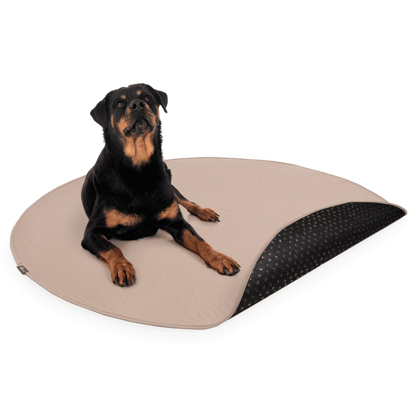 2ct Paw Inspired 60 Inch Round Playpen and Enclosure Pads, Anti-Slip ...