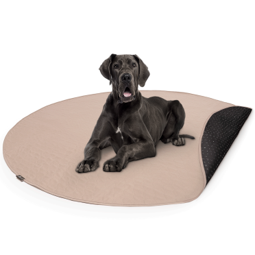 PetSafe ScatMat Indoor Training Mat for Dogs and Cats, 7 Correction ...