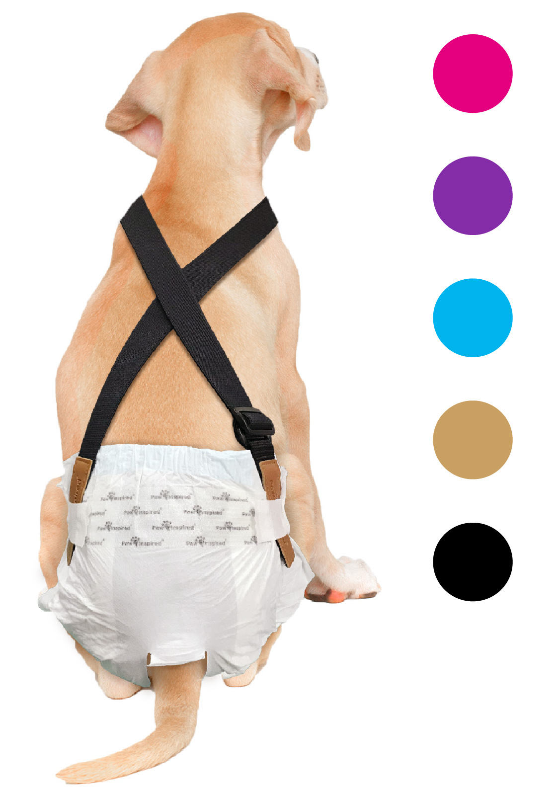 Paw Legend Reusable Female Dog Diapers Pack of 3, No Leak Doggie ...