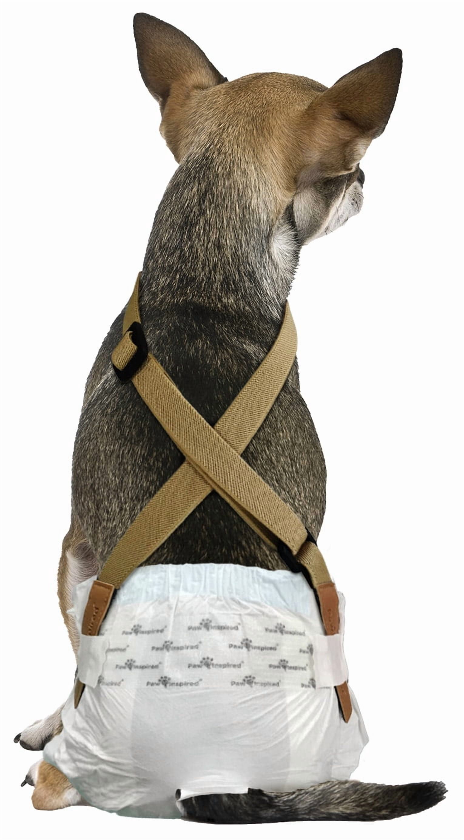 Paw Inspired Dog Diaper Suspenders, Adjustable Harness for Belly Bands ...