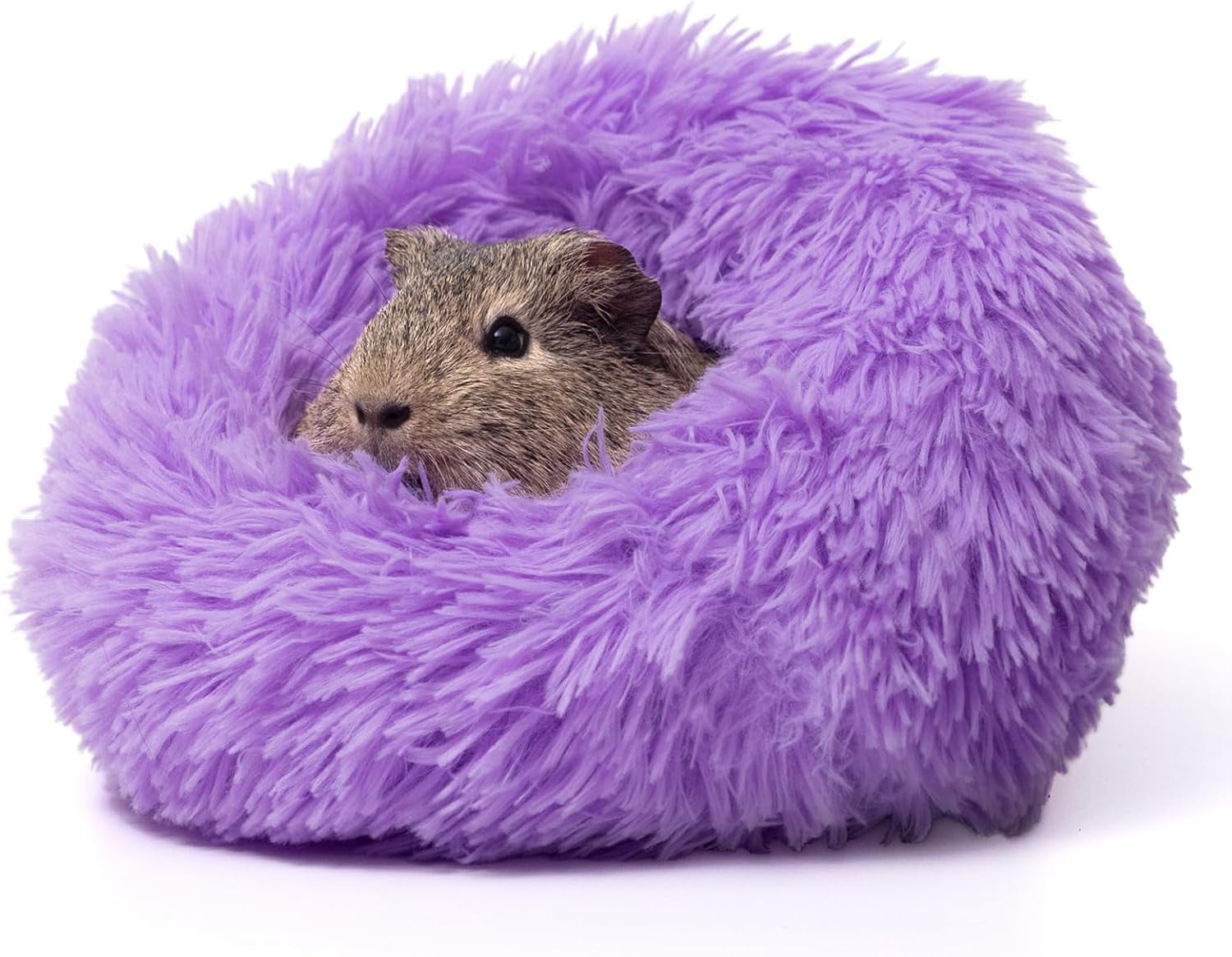 Paw Inspired Furr-O Burrowing Pet Bed for Guinea Pigs and Other Small ...