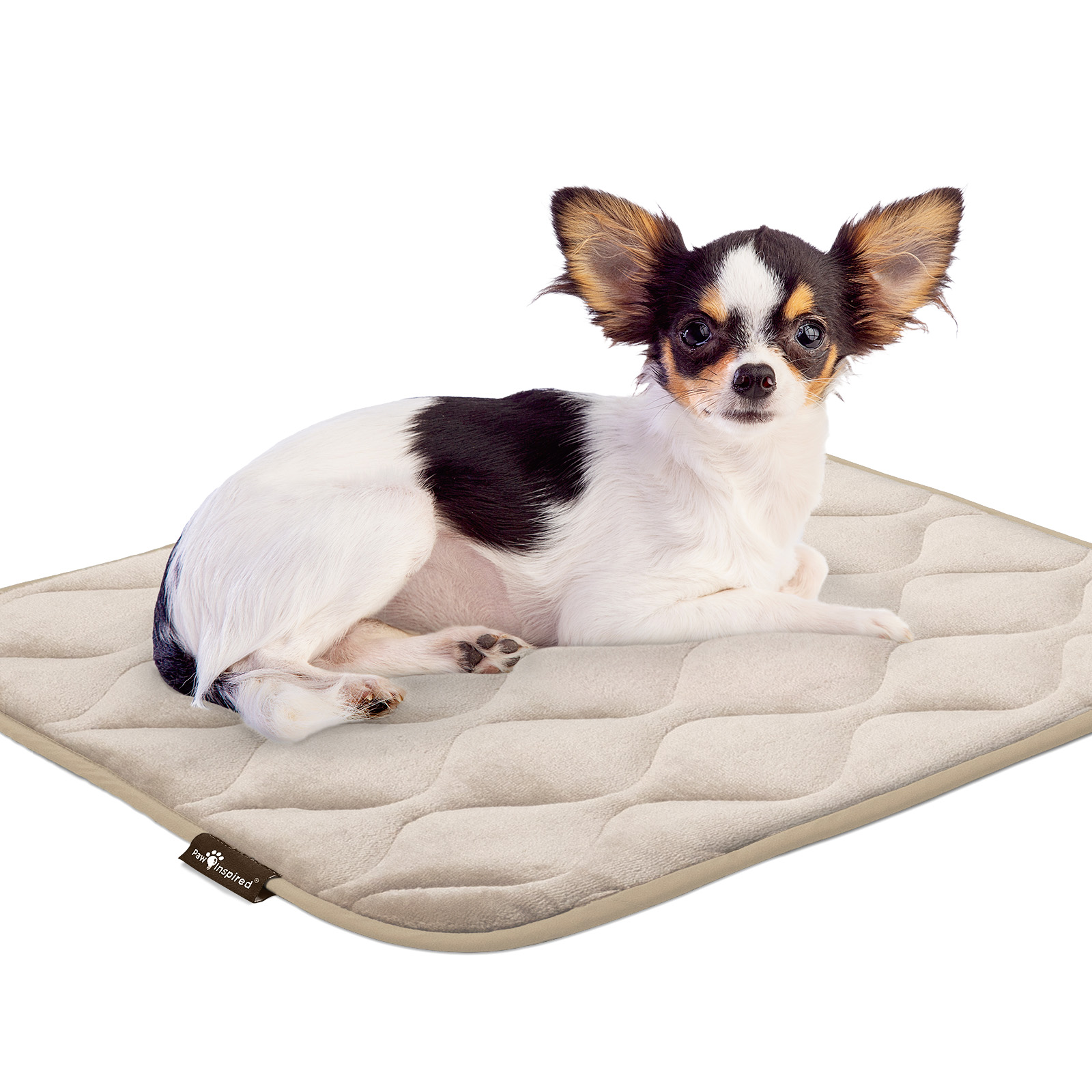 Vibrant Life, Durable & Water-Resistant Crate Mat, Black, 24" - Walmart.com