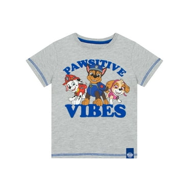 Paw Patrol Boys Rainbow Short Sleeve T-shirt And Shorts Set Sizes 2T-8 - Walmart.com