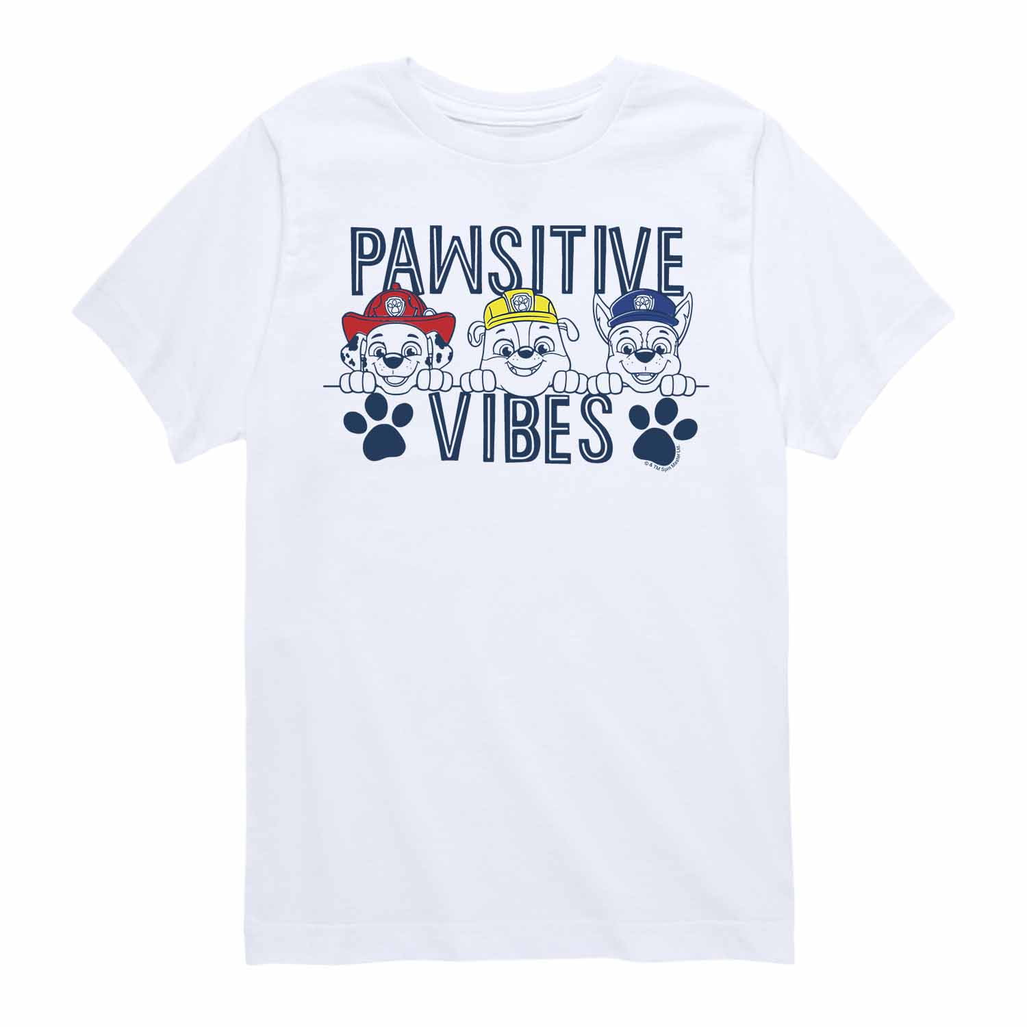 Paw Patrol - Pawsitive Vibes - Toddler And Youth Short Sleeve Graphic T ...