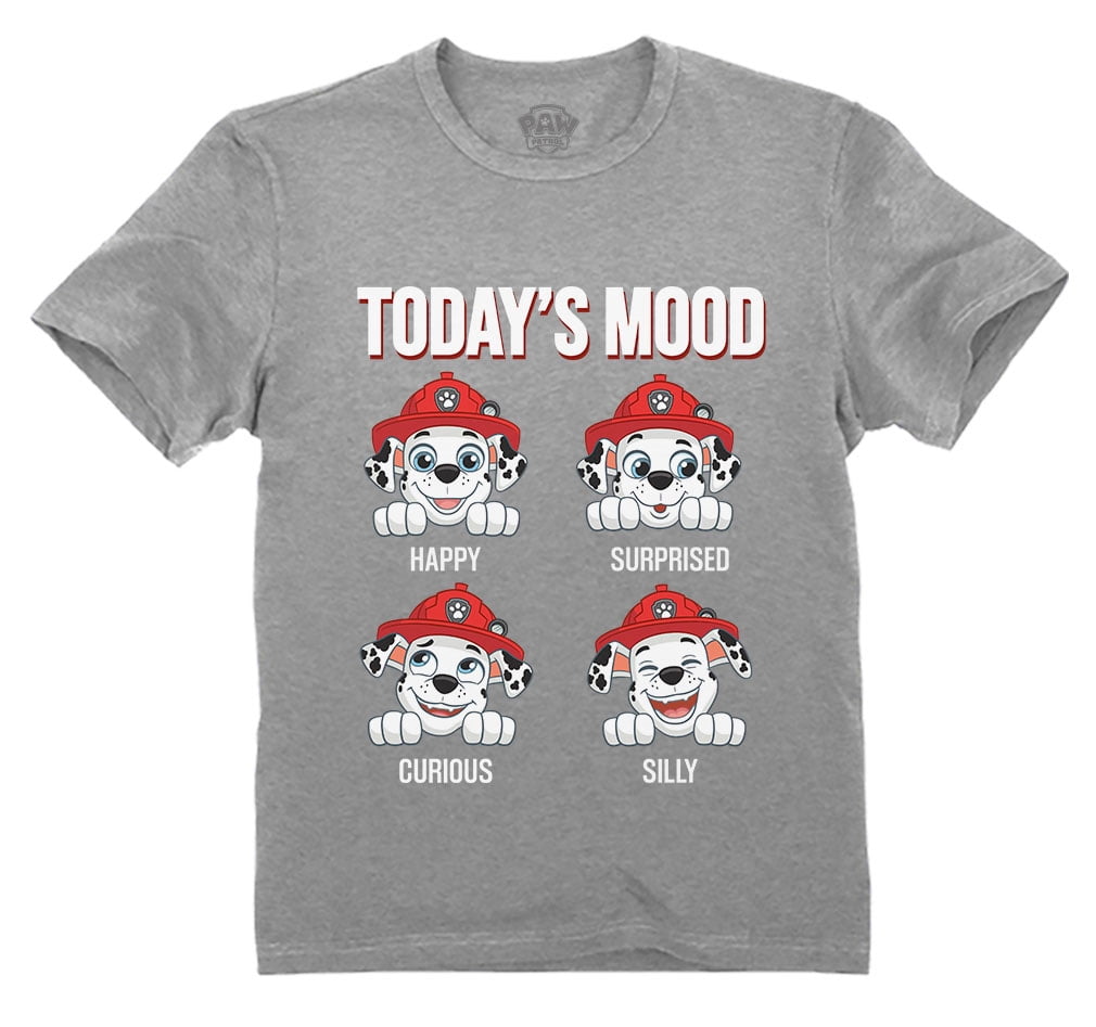 Paw Patrol Shirt Toddler Kids Chase Marshall Rubble Skye Nickelodeon ...