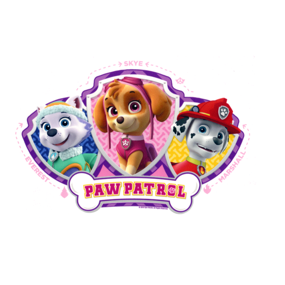 Paw Patrol Skye, Everest & Mars Edible Icing Image Cake Topper- 6 Inch ...
