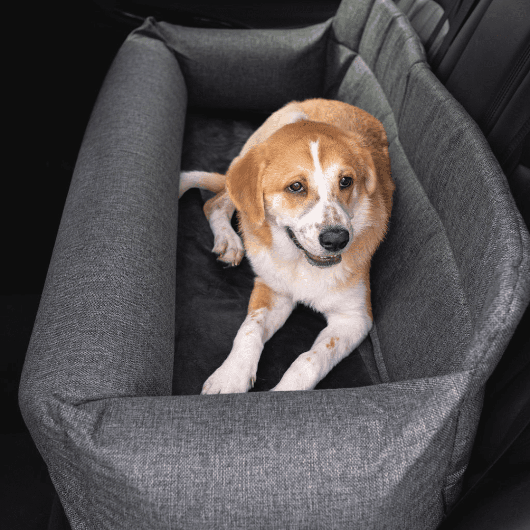 Paw PupProtector Memory Foam Dog Car Bed Gray Full Back Seat - Walmart.com