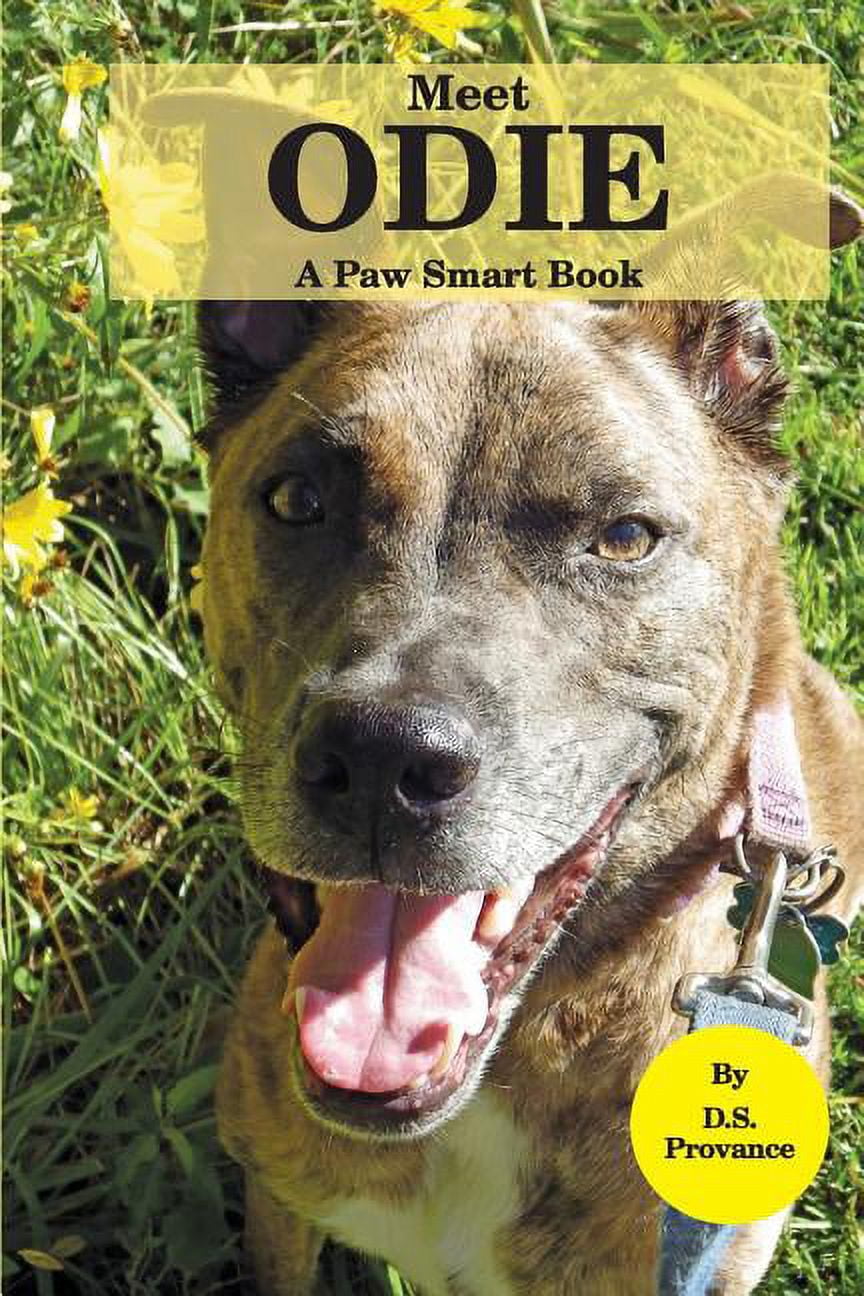 Paw Smart Book: Meet Odie (Paperback) - Walmart.com
