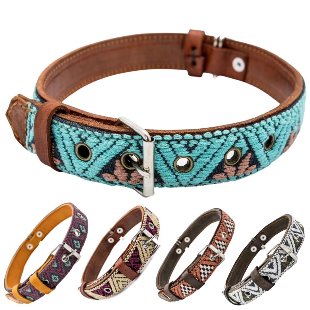 Paw Tribe Western Dog Collar - Leather Dog Collar Design for Small ...
