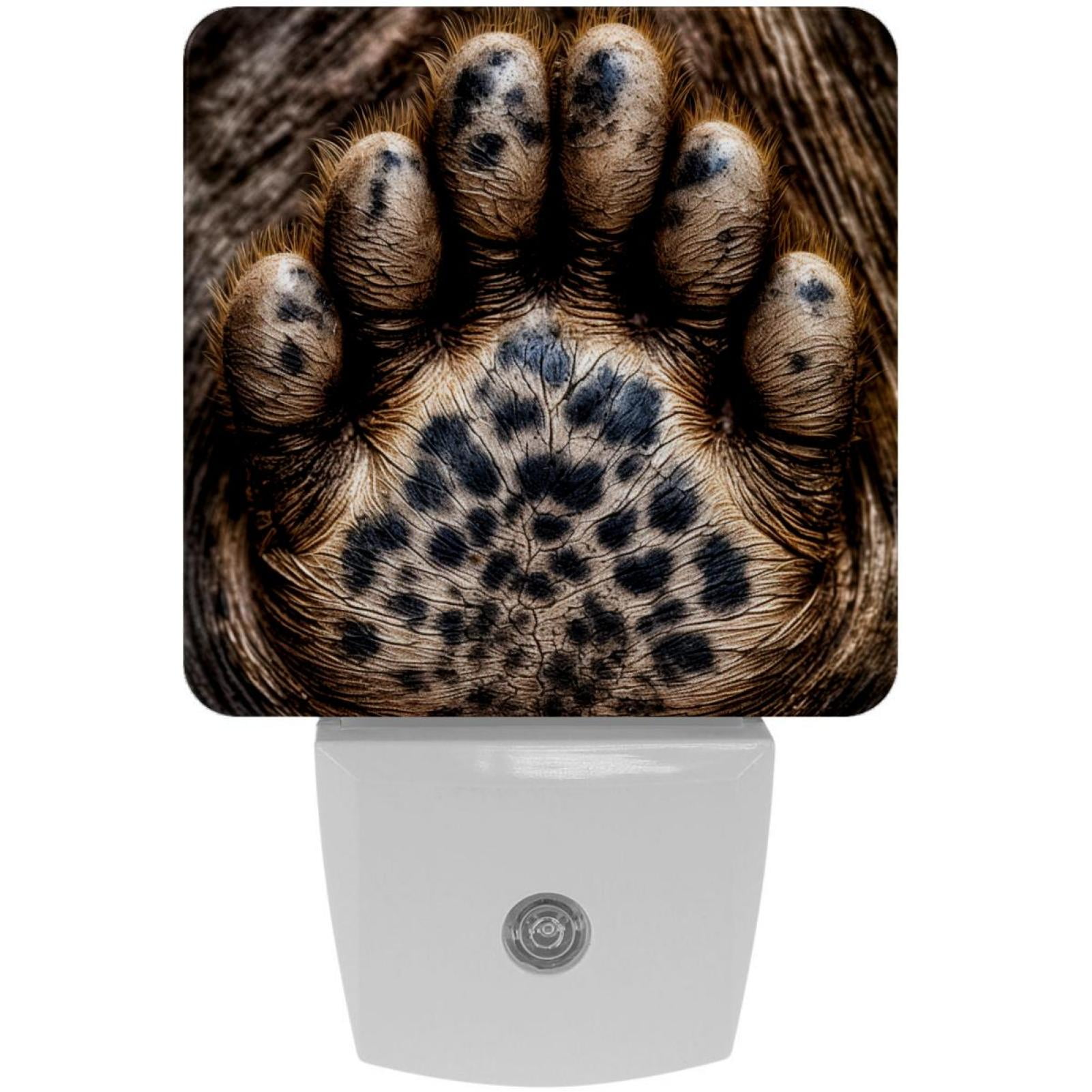 Paw prints Enhance Your Space with LED Square Night Lights - Versatile ...