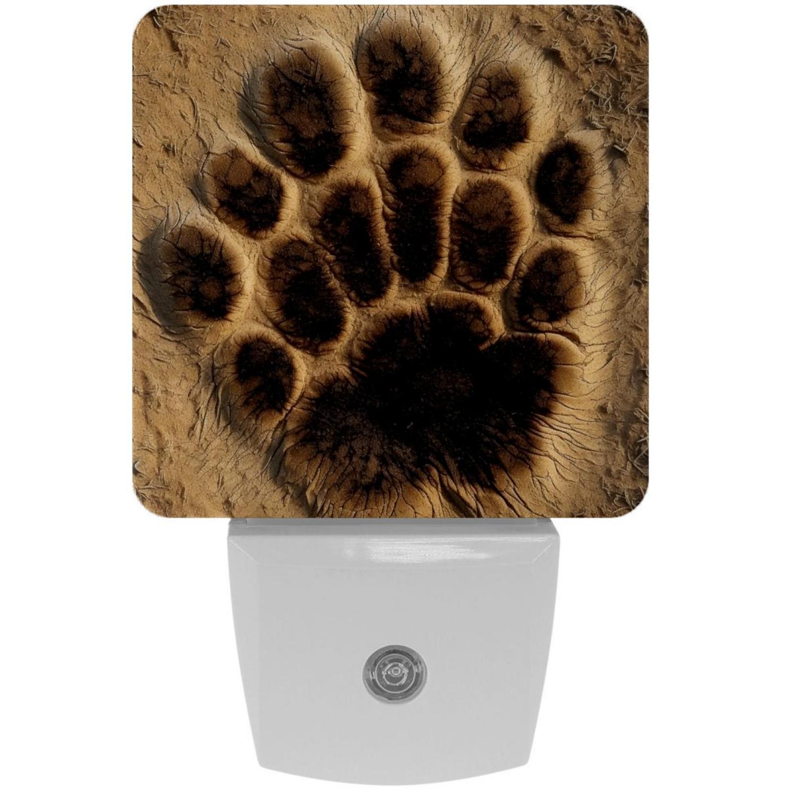 Paw prints LED Square Night Light - Energy Efficient and Stylish ...